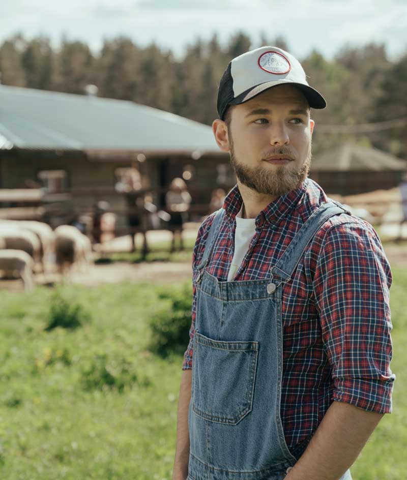 Poultry Farm — Spraytec in Moldova — Distributor oficial CROPSOLUTIONS SRL