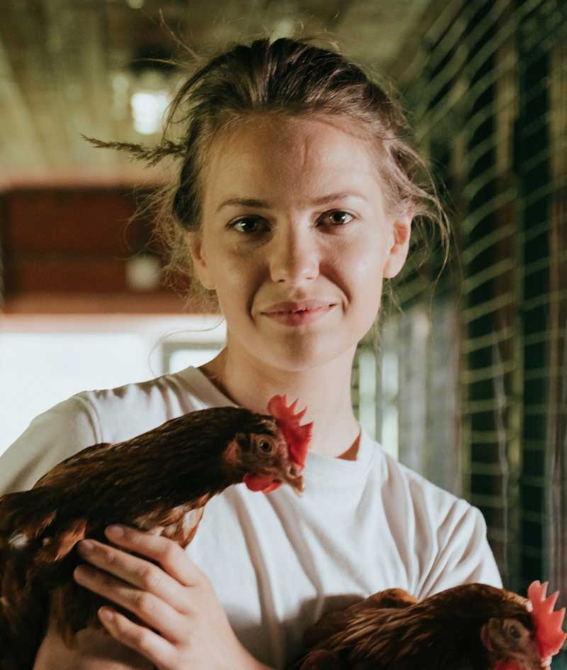 Poultry Farm — Spraytec in Moldova — Distributor oficial CROPSOLUTIONS SRL